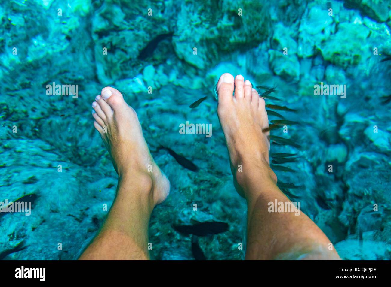 Fish spa pedicure fish bite feet in the amazing blue turquoise water ...