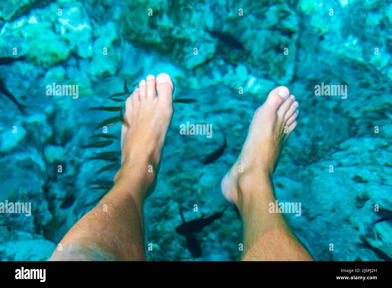 Fish spa pedicure fish bite feet in the amazing blue turquoise water ...