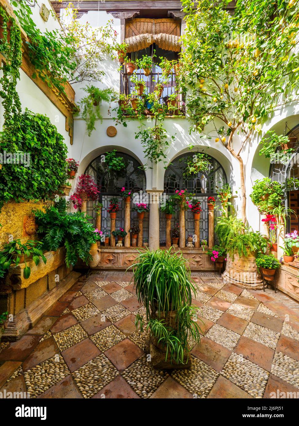 Traditional Andalusian courtyard full of plants and flowers in the old ...