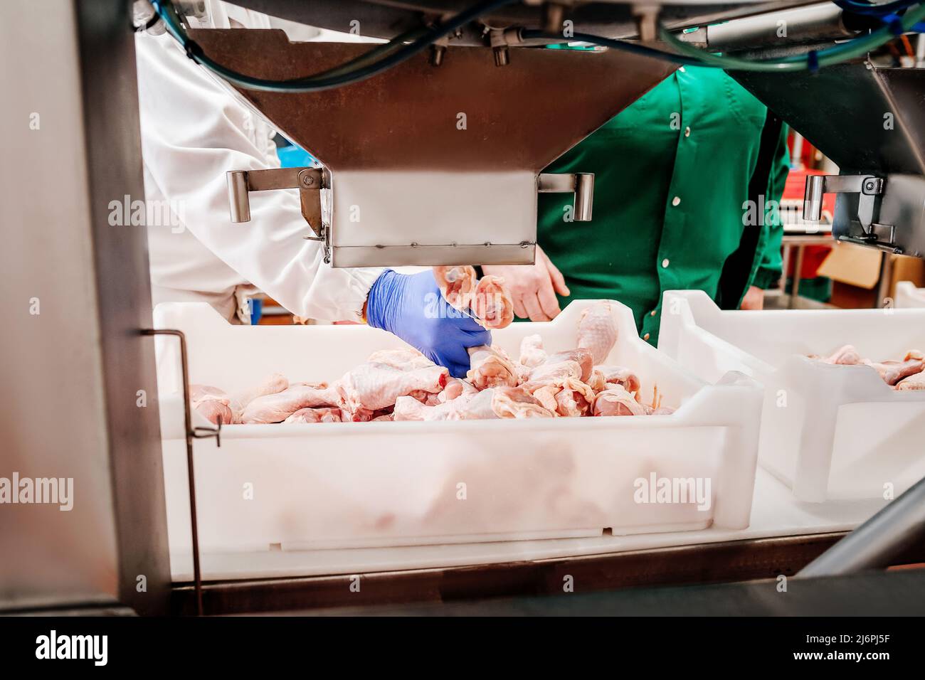 Factory for the production of food from meat,poultry.Conveyor Belt Food ...