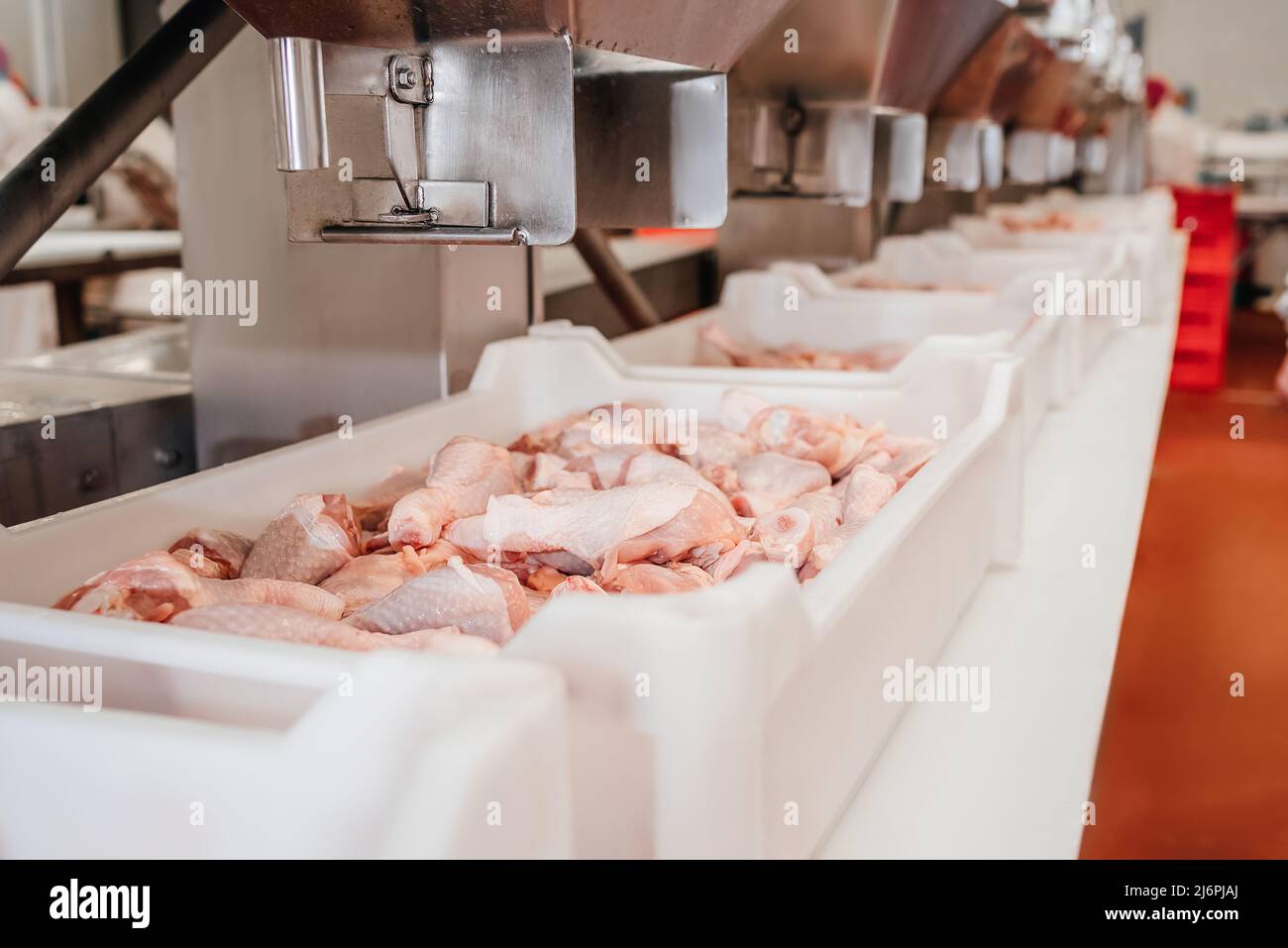 Factory for the production of food from meat,poultry.Conveyor Belt Food ...