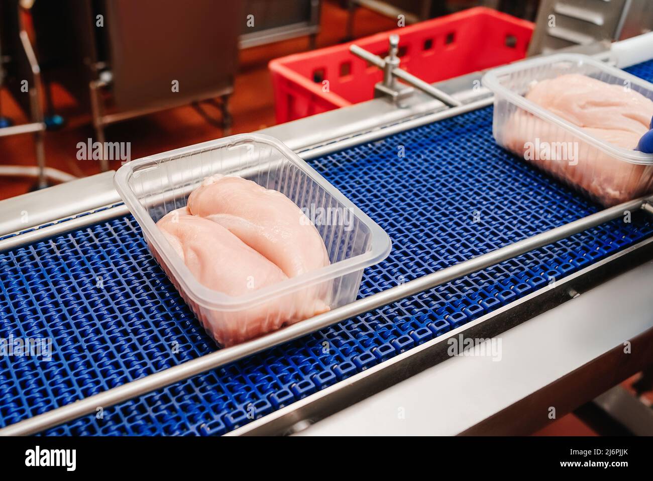 Chicken fillet production line.A modern plant.Factory production food ...