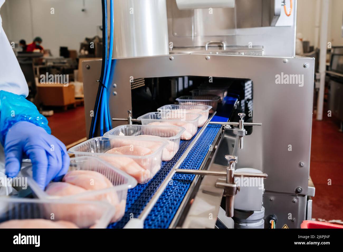 A modern plant.Factory production food from meat. Production line with ...