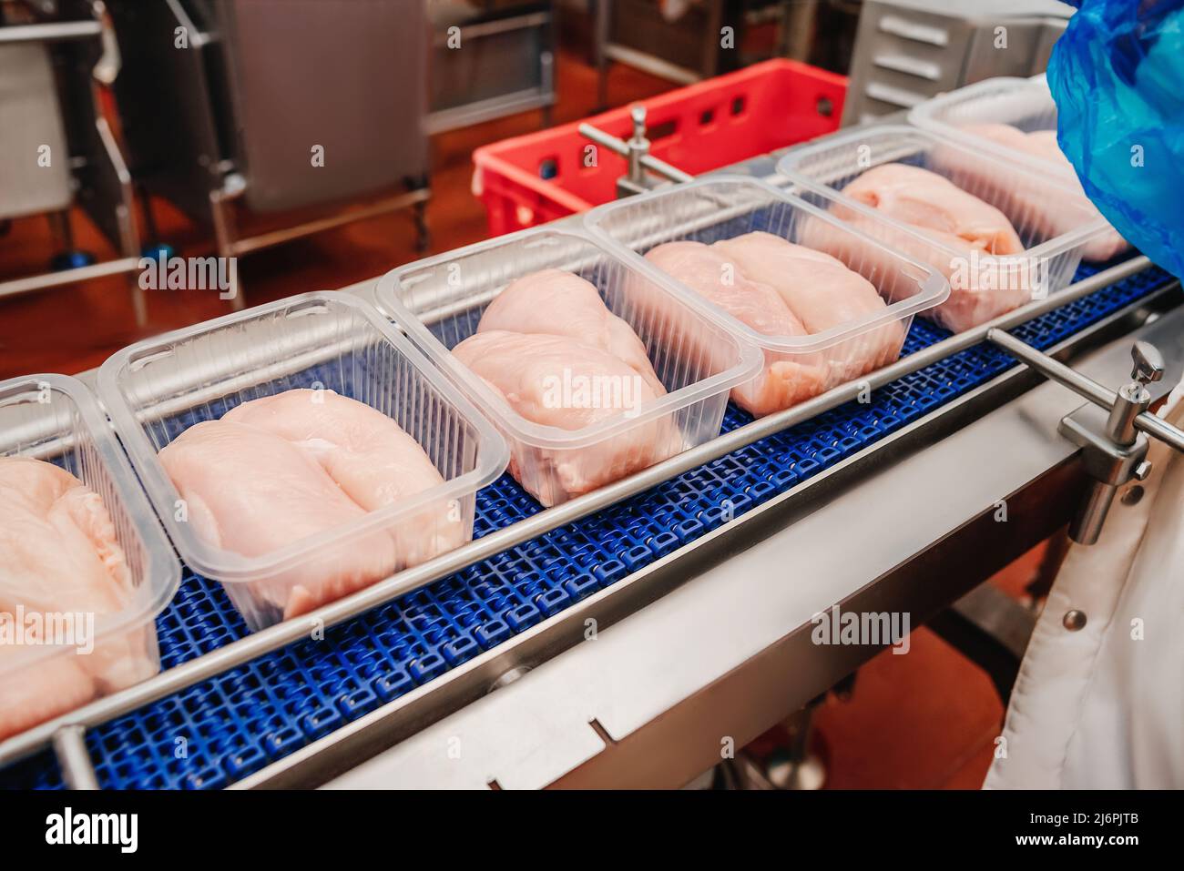 Chicken fillet production line.A modern plant.Factory production food ...