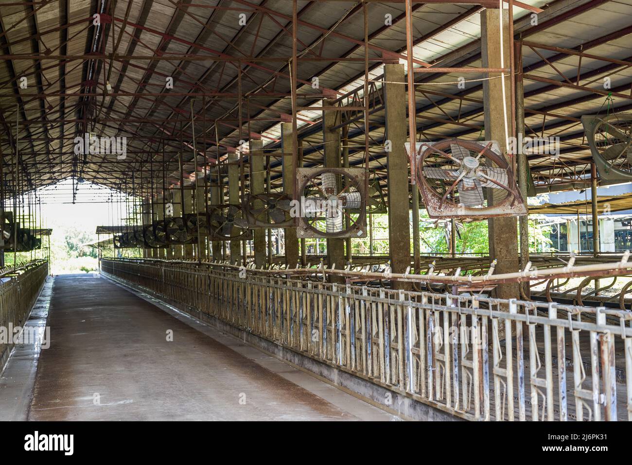 Vacant factory building of a professional dairy farming base Stock ...