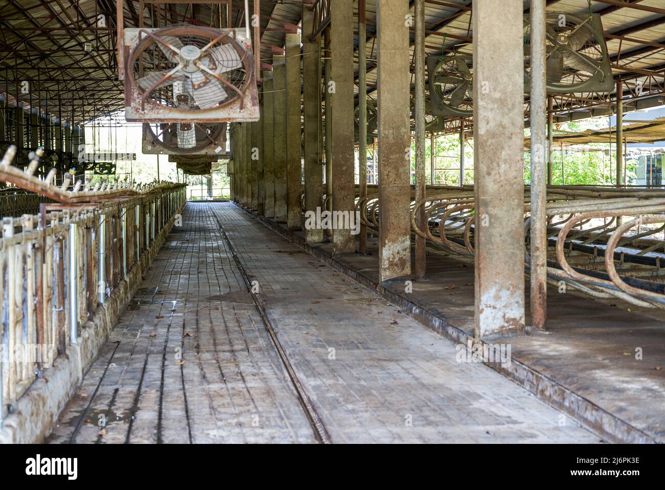 Vacant factory building of a professional dairy farming base Stock ...