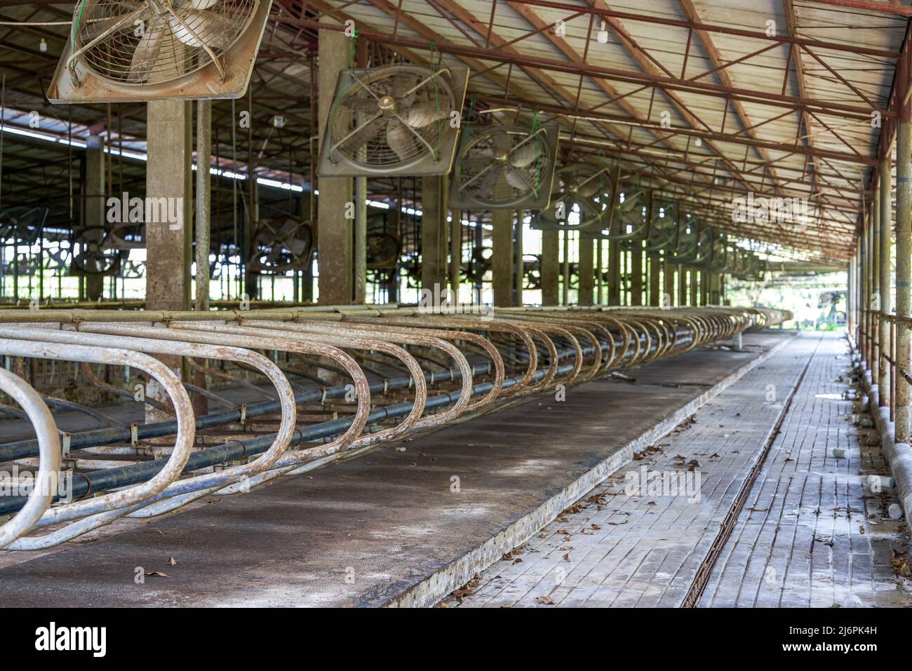 Vacant factory building of a professional dairy farming base Stock ...