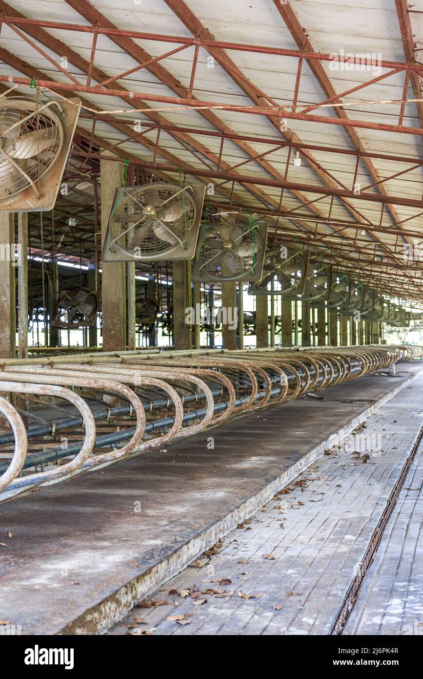 Vacant factory building of a professional dairy farming base Stock ...