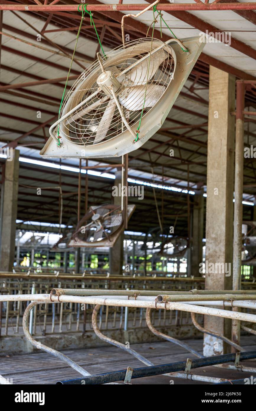 Vacant factory building of a professional dairy farming base Stock ...