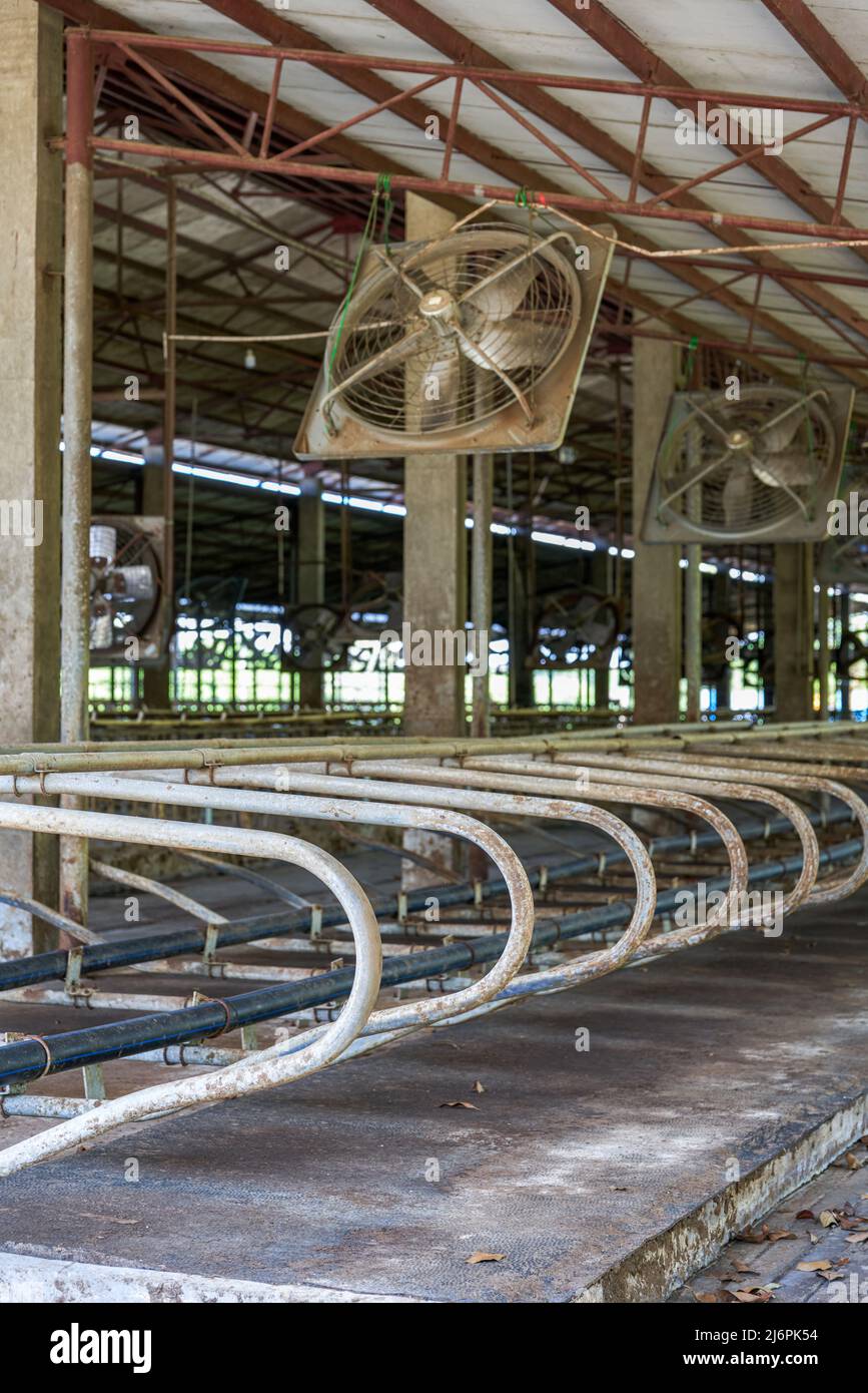 Vacant factory building of a professional dairy farming base Stock ...