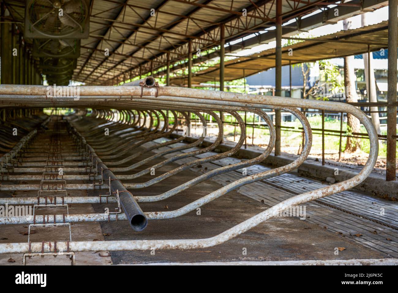 Vacant factory building of a professional dairy farming base Stock ...