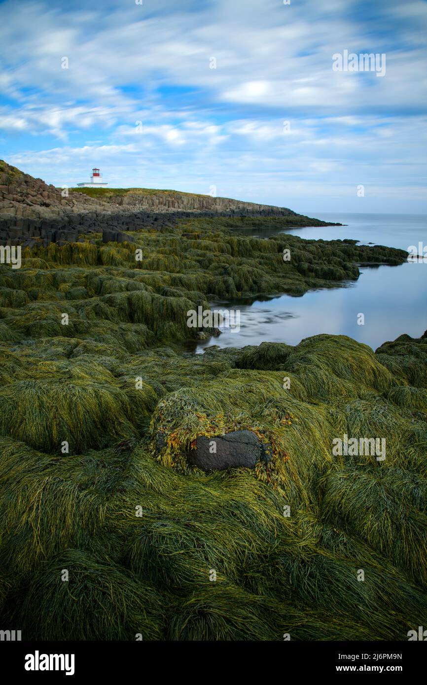 Canada; Maritimes; Digby County; Bay of Fundy, Brier Island, Grand ...