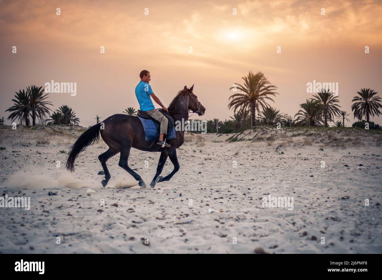 Horse riding on the beach at sunset Stock Photo - Alamy