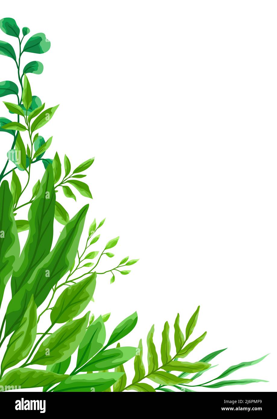 Card or background with branches and green leaves. Spring or summer ...