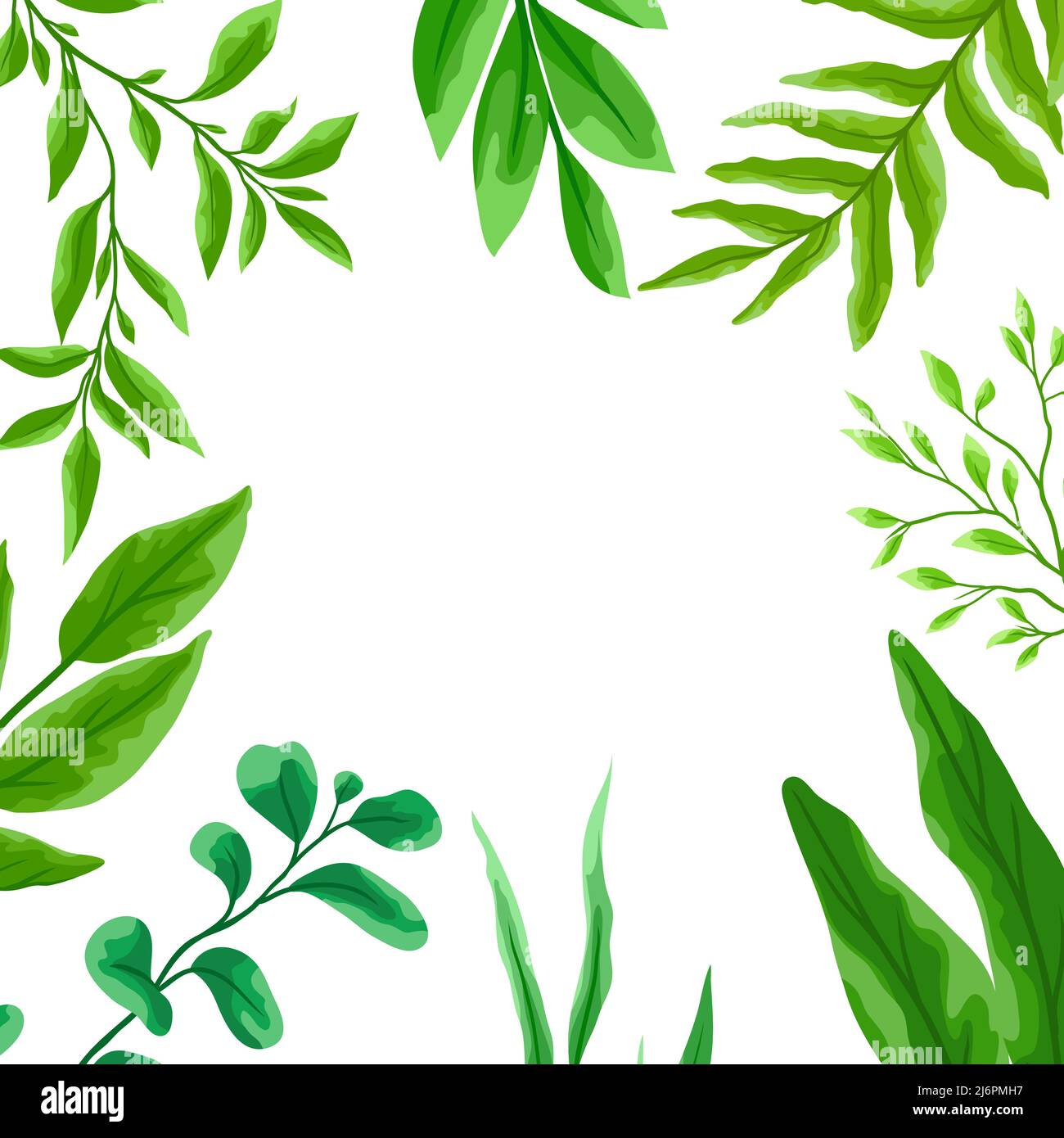 Card or background with branches and green leaves. Spring or summer ...