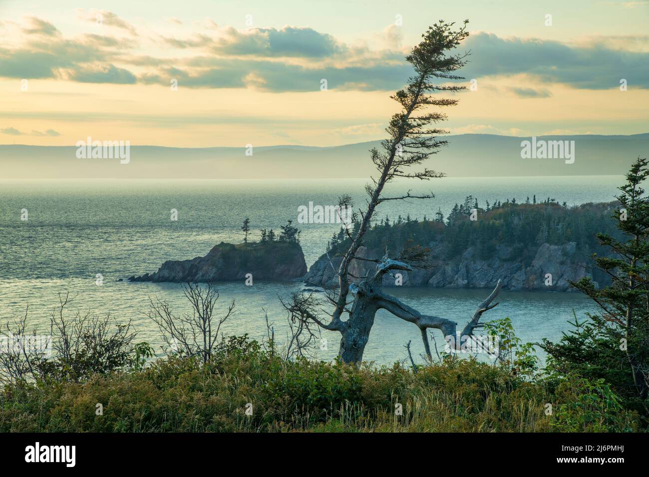 Canada, Maritimes, Nova Scotia, Bay of Fundy Cape Enrage Stock Photo ...