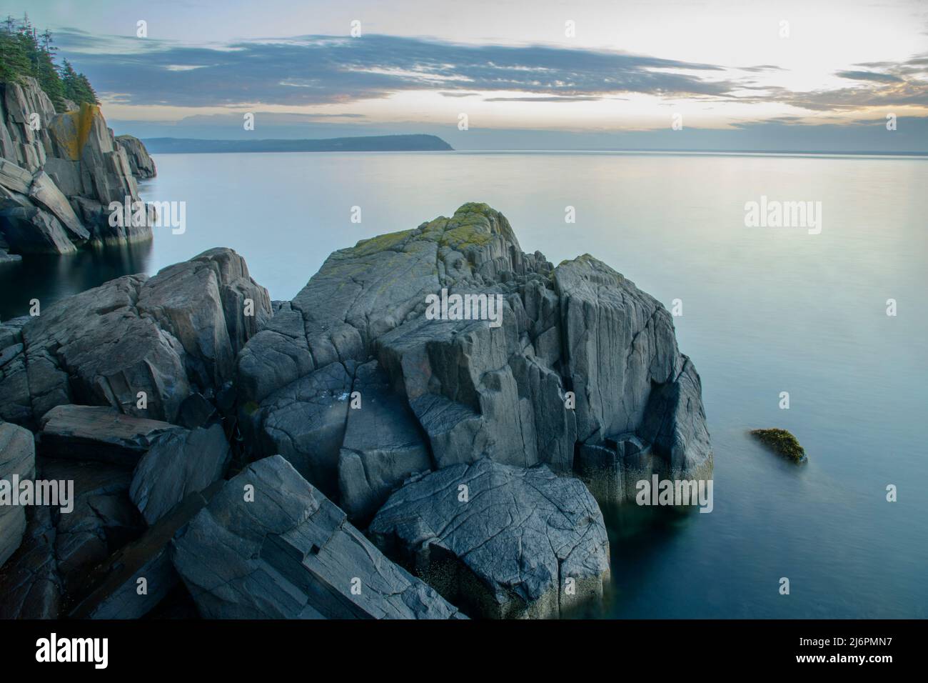 Digby neck hi-res stock photography and images - Alamy