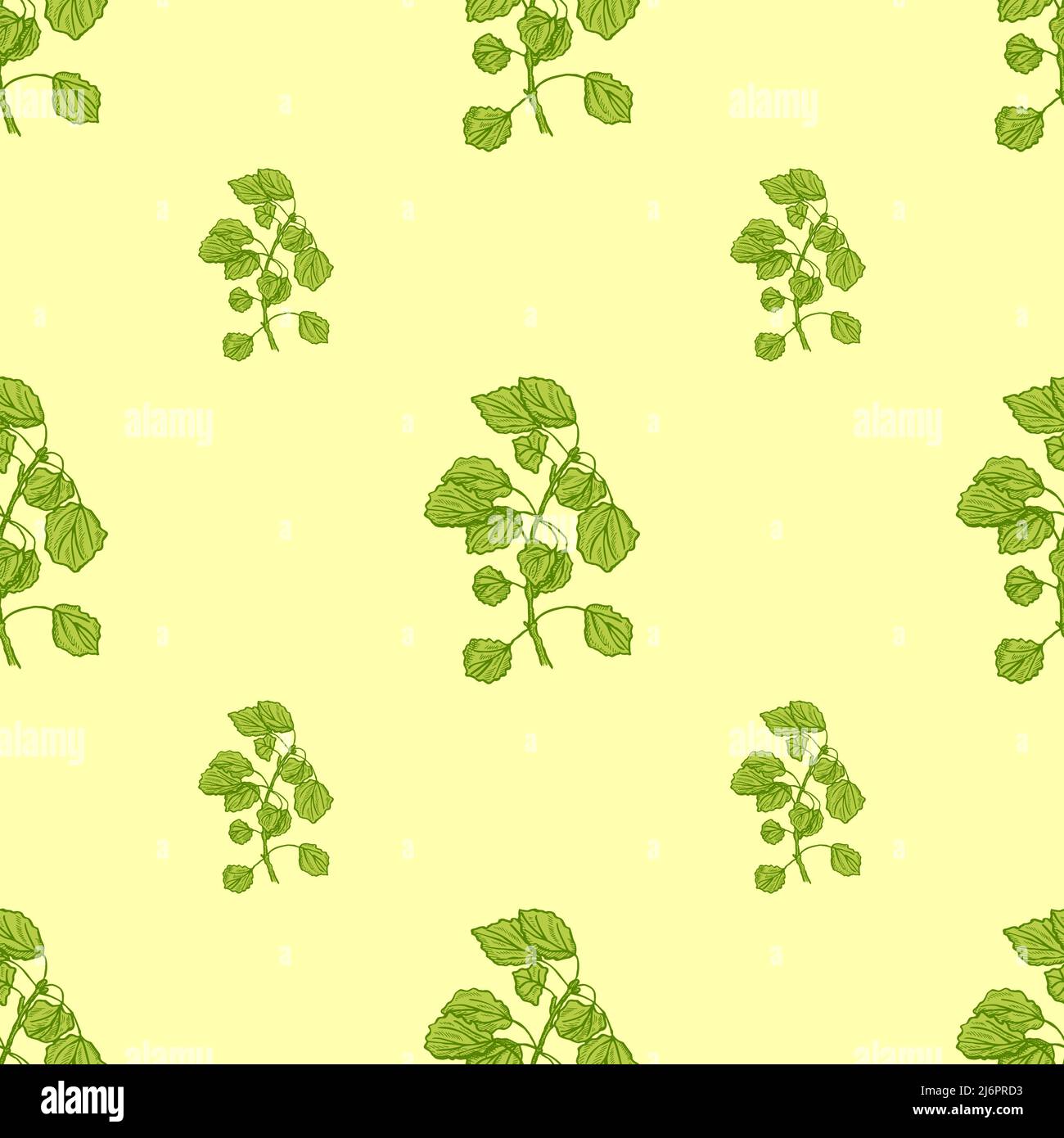 Seamless pattern engraved tree branches. Vintage background summer ...