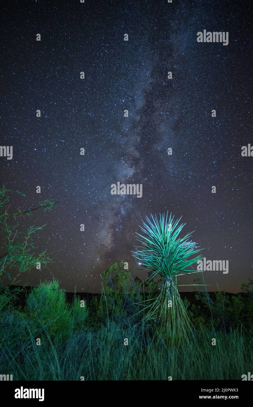 USA, West Texas, Texas Big Big National Park, Grapevine Hills, mountain ...