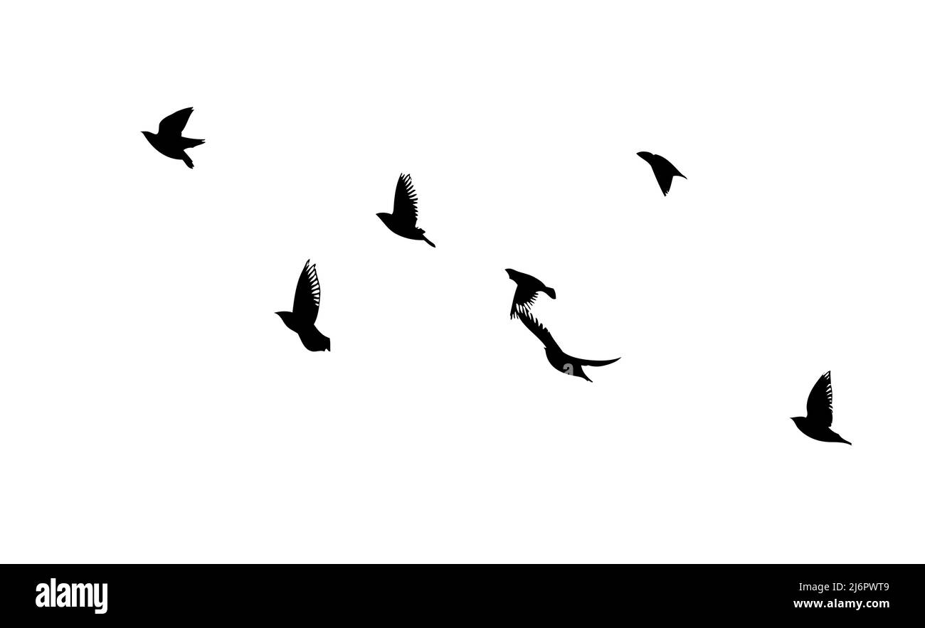 Birds Flying Tattoo Stencil
