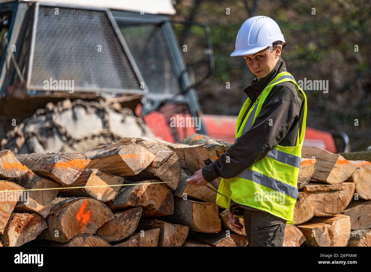 Pretty woman working as a forester Stock Photo - Alamy
