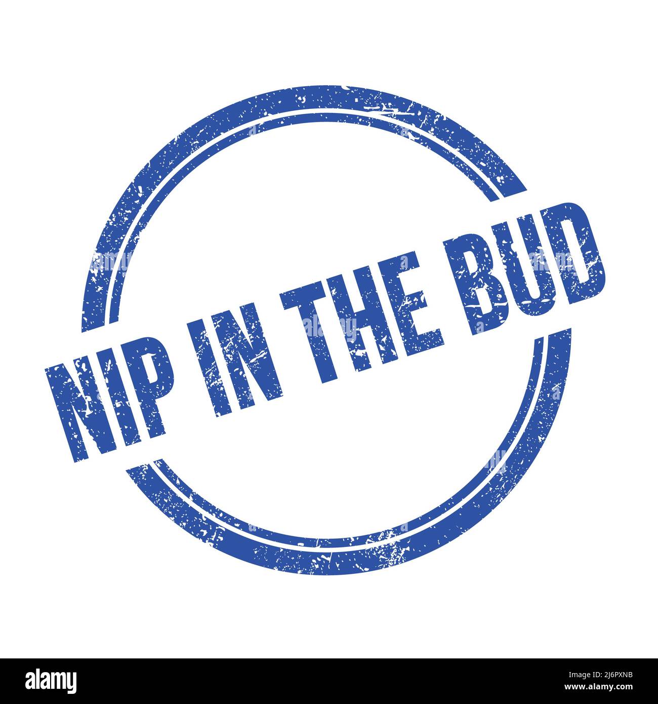 NIP IN THE BUD text written on blue grungy vintage round stamp Stock ...