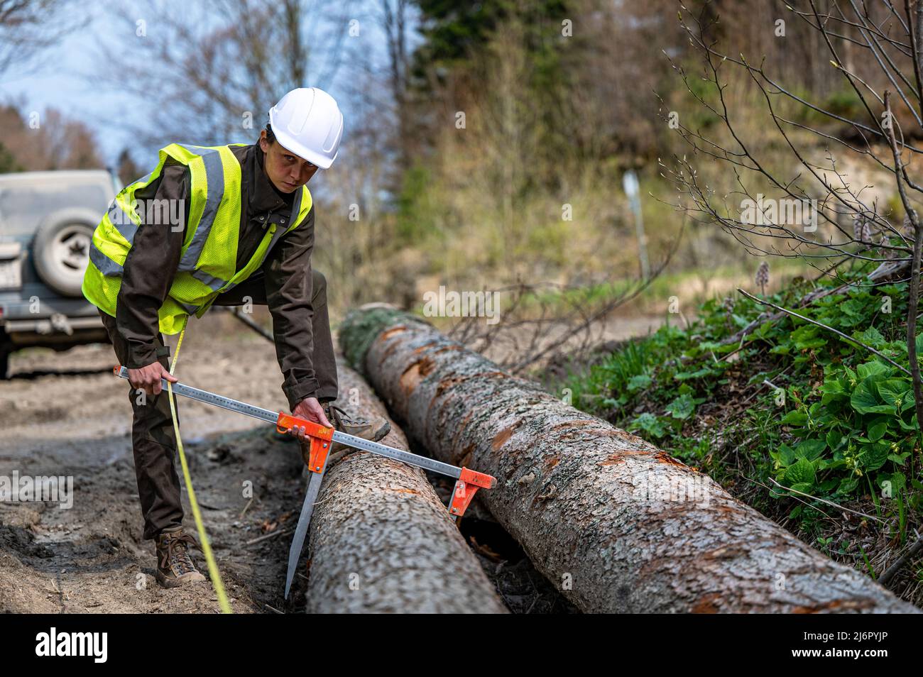 Pretty woman working as a forester Stock Photo - Alamy