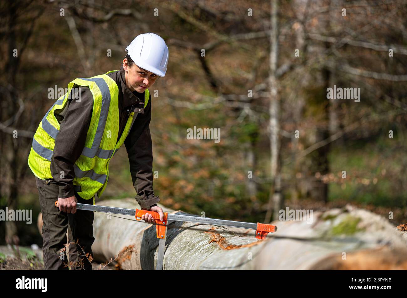 Pretty woman working as a forester Stock Photo - Alamy
