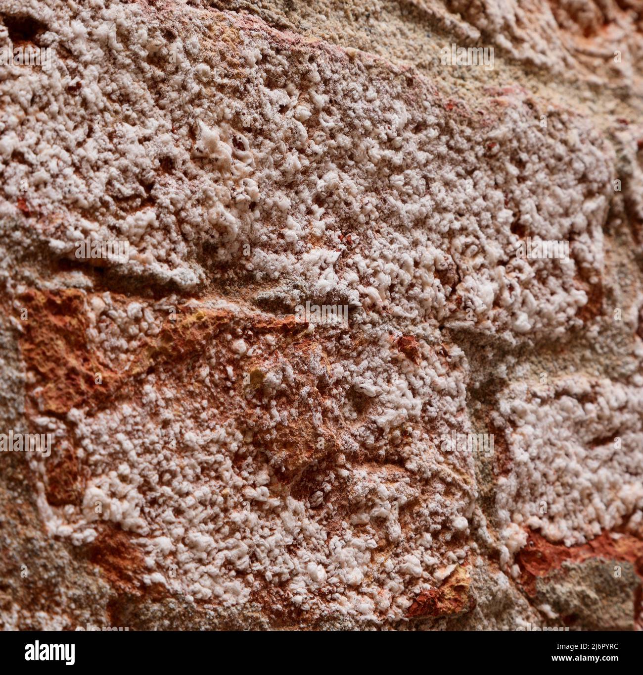 detail of the wall ruined by salt and humidity due to the proximity of ...