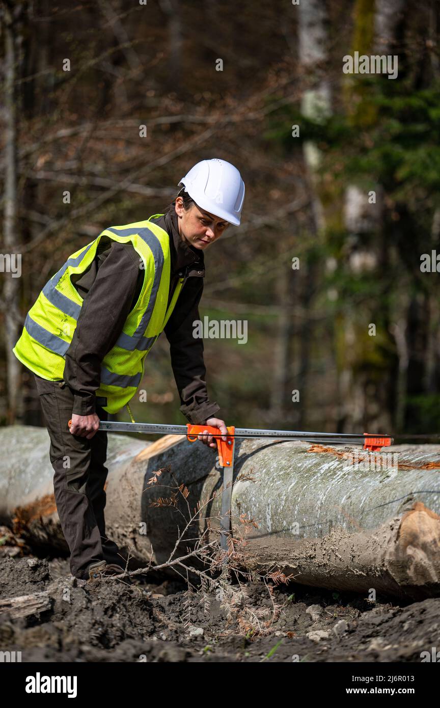 Pretty woman working as a forester Stock Photo - Alamy