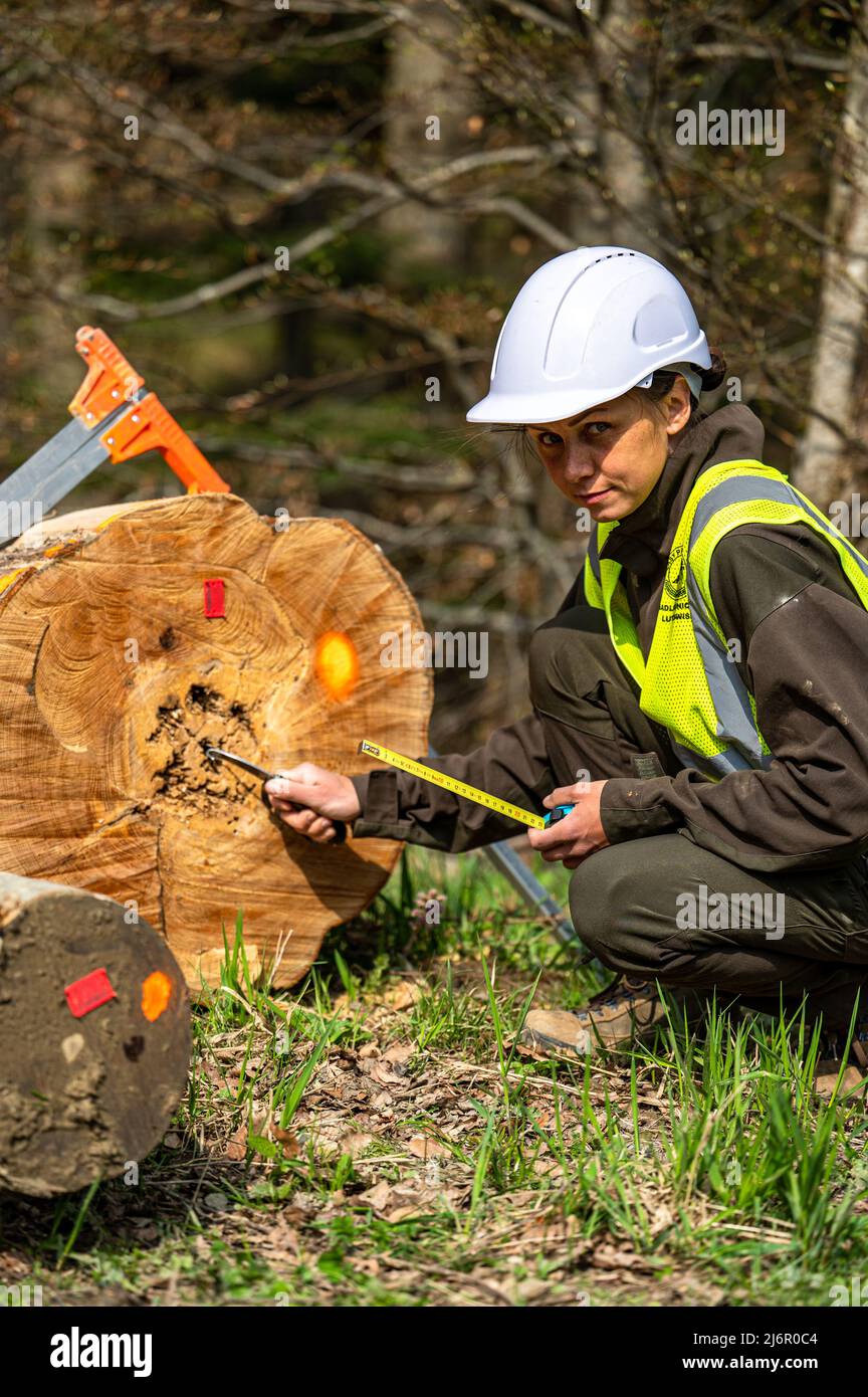 Woman forestry hi-res stock photography and images - Alamy