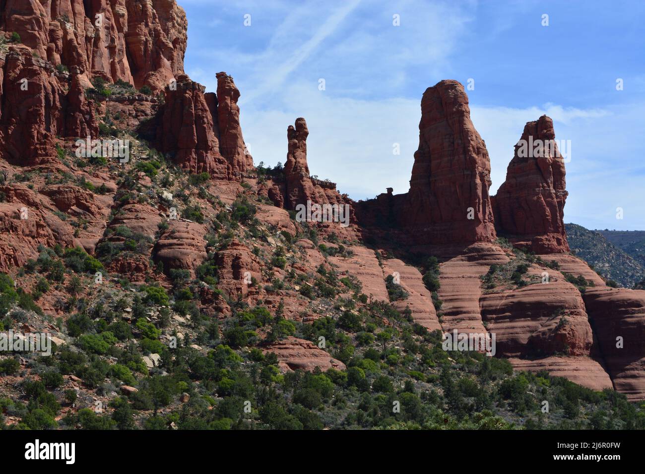 Coconino National Forest, Arizona Stock Photo - Alamy