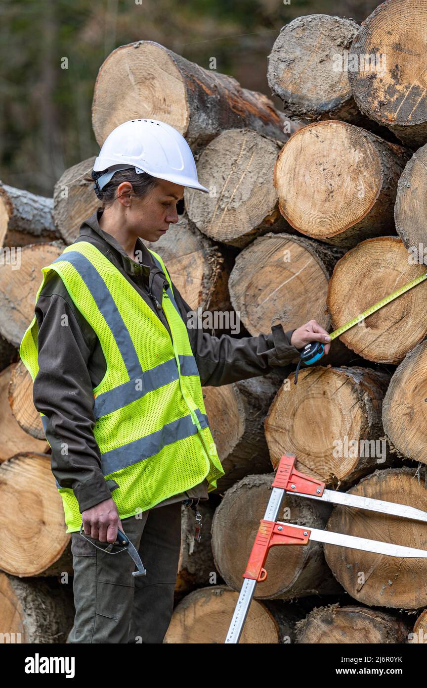 Pretty woman working as a forester Stock Photo - Alamy