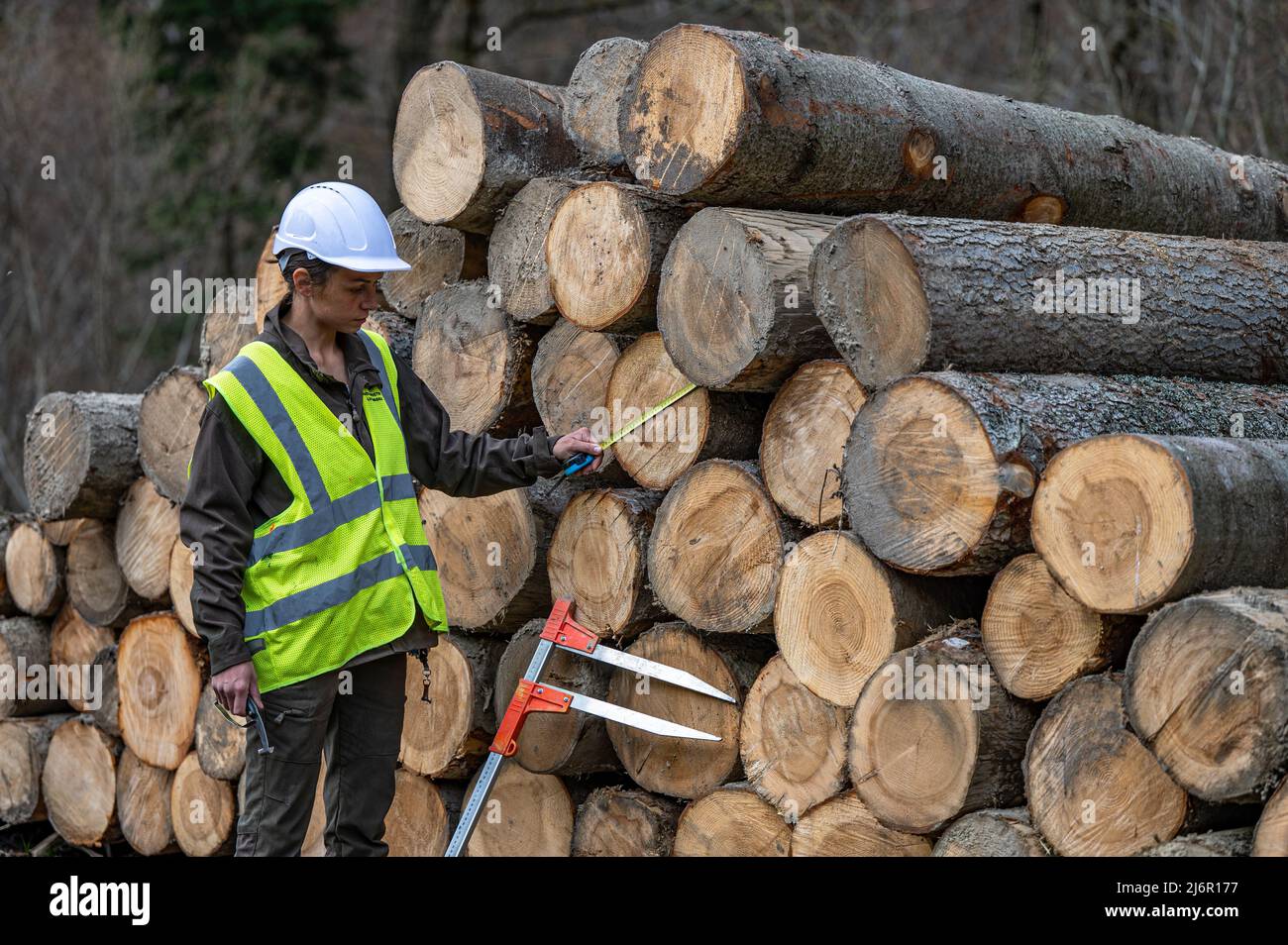 Pretty woman working as a forester Stock Photo - Alamy