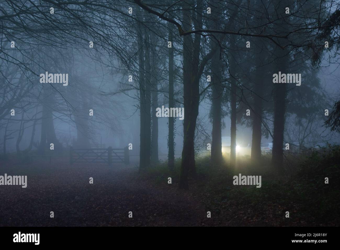 Car head lights beam hi-res stock photography and images - Alamy