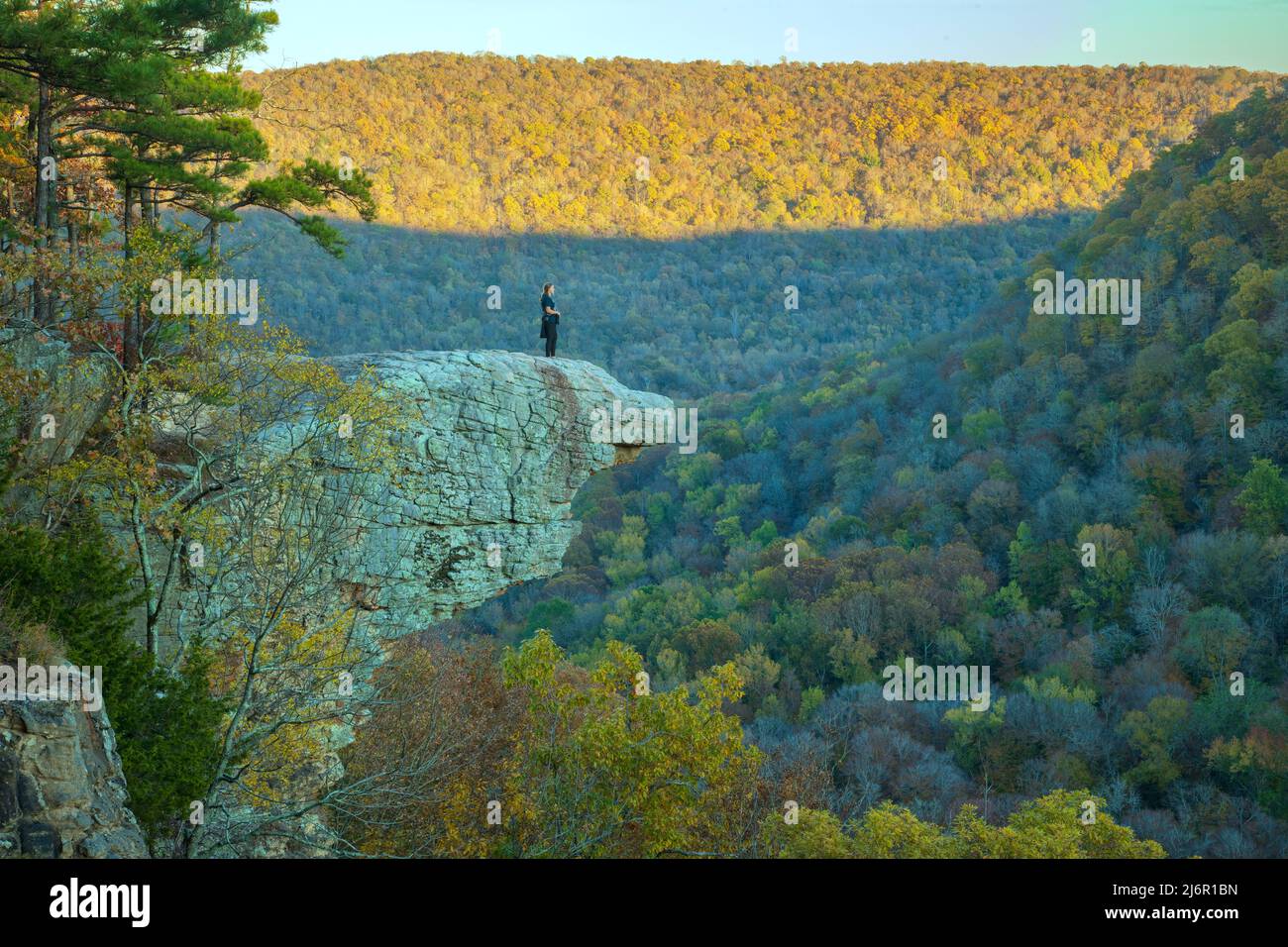 USA,South, Arkansas, Ozarks, Hawksbill Crag, Whitaker Point Stock Photo ...