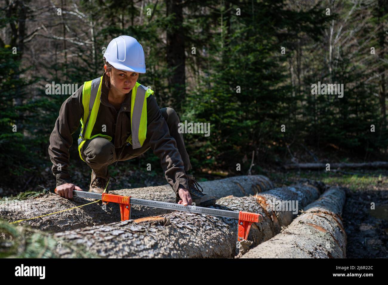 Pretty woman working as a forester Stock Photo - Alamy