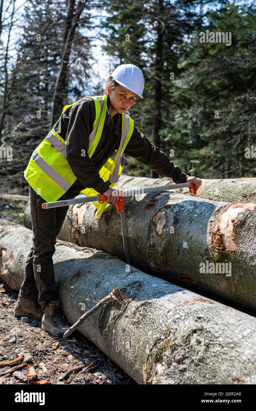 Pretty woman working as a forester Stock Photo - Alamy