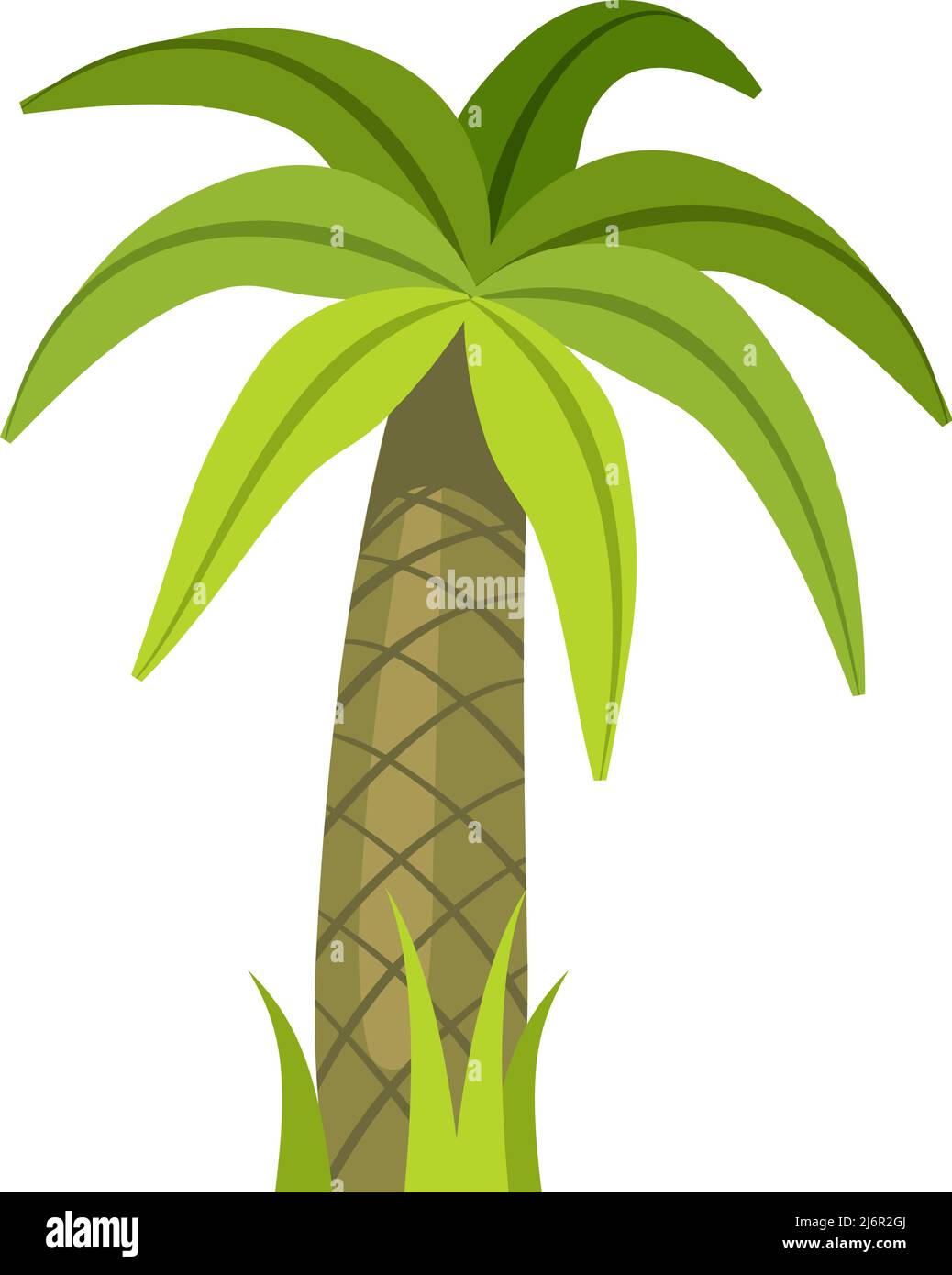 Jungle tree. Cartoon palm. Green nature symbol Stock Vector Image & Art ...