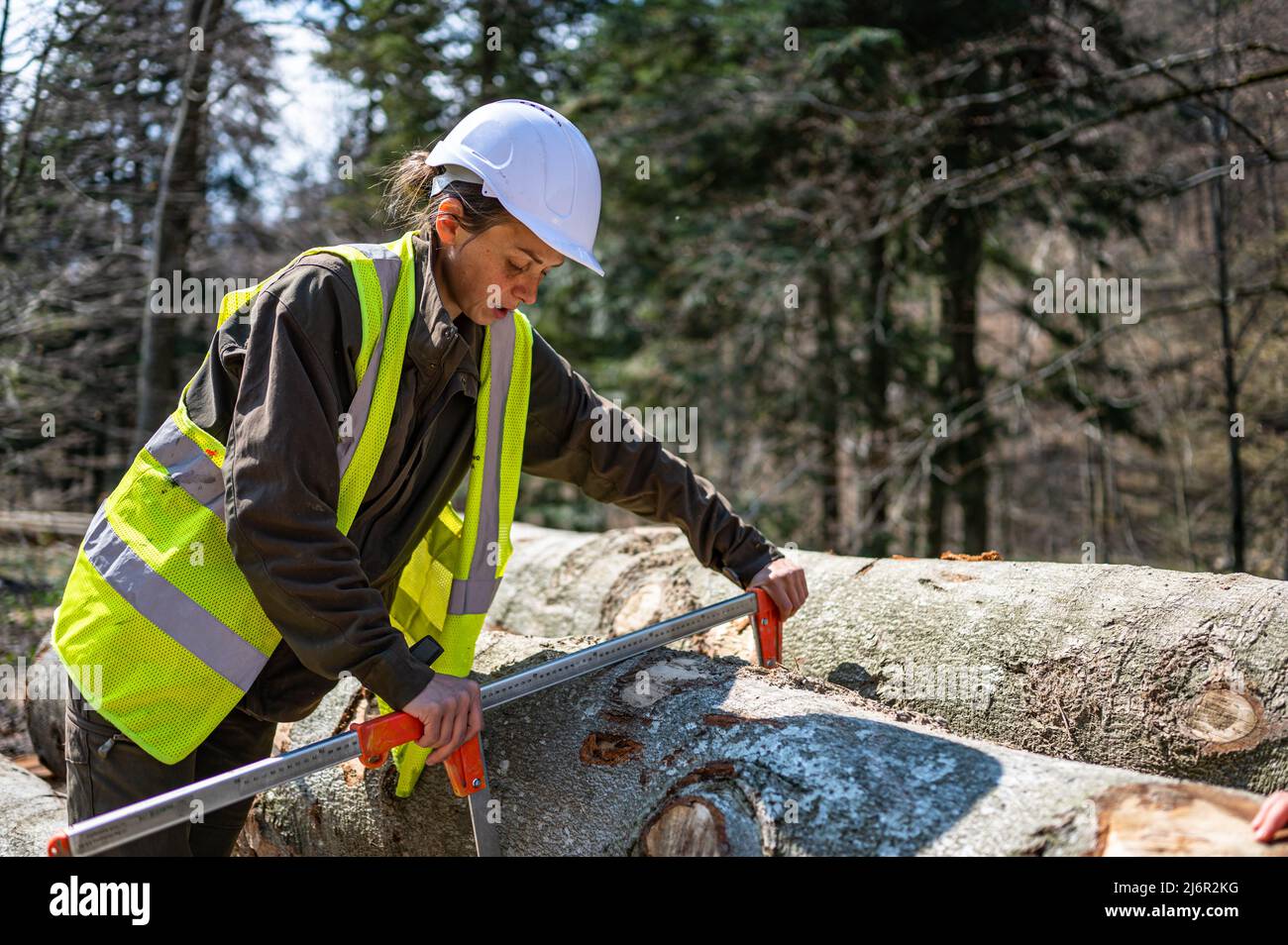 Pretty woman working as a forester Stock Photo - Alamy