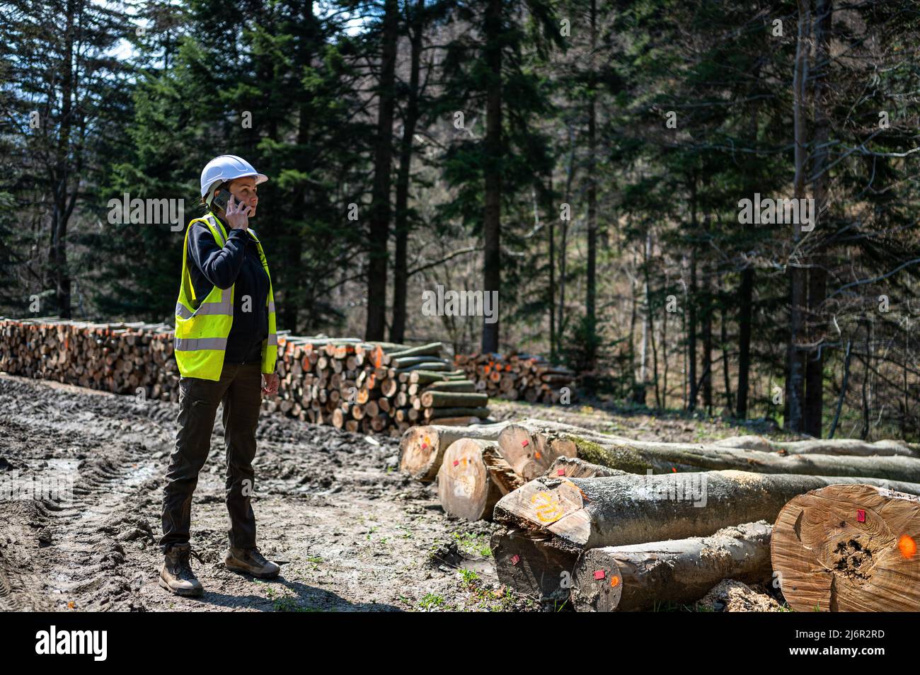 Pretty woman working as a forester Stock Photo - Alamy