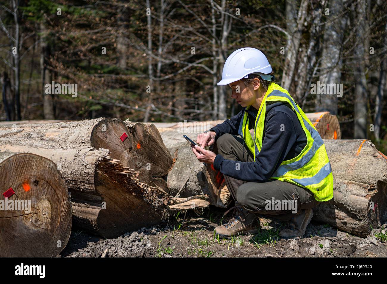 Woman forestry hi-res stock photography and images - Alamy