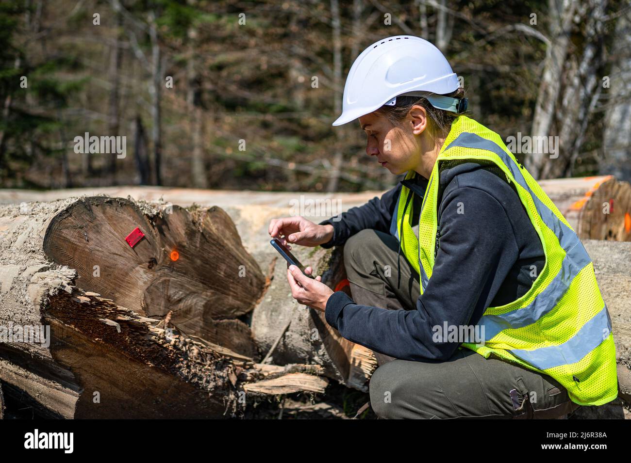 Pretty woman working as a forester Stock Photo - Alamy