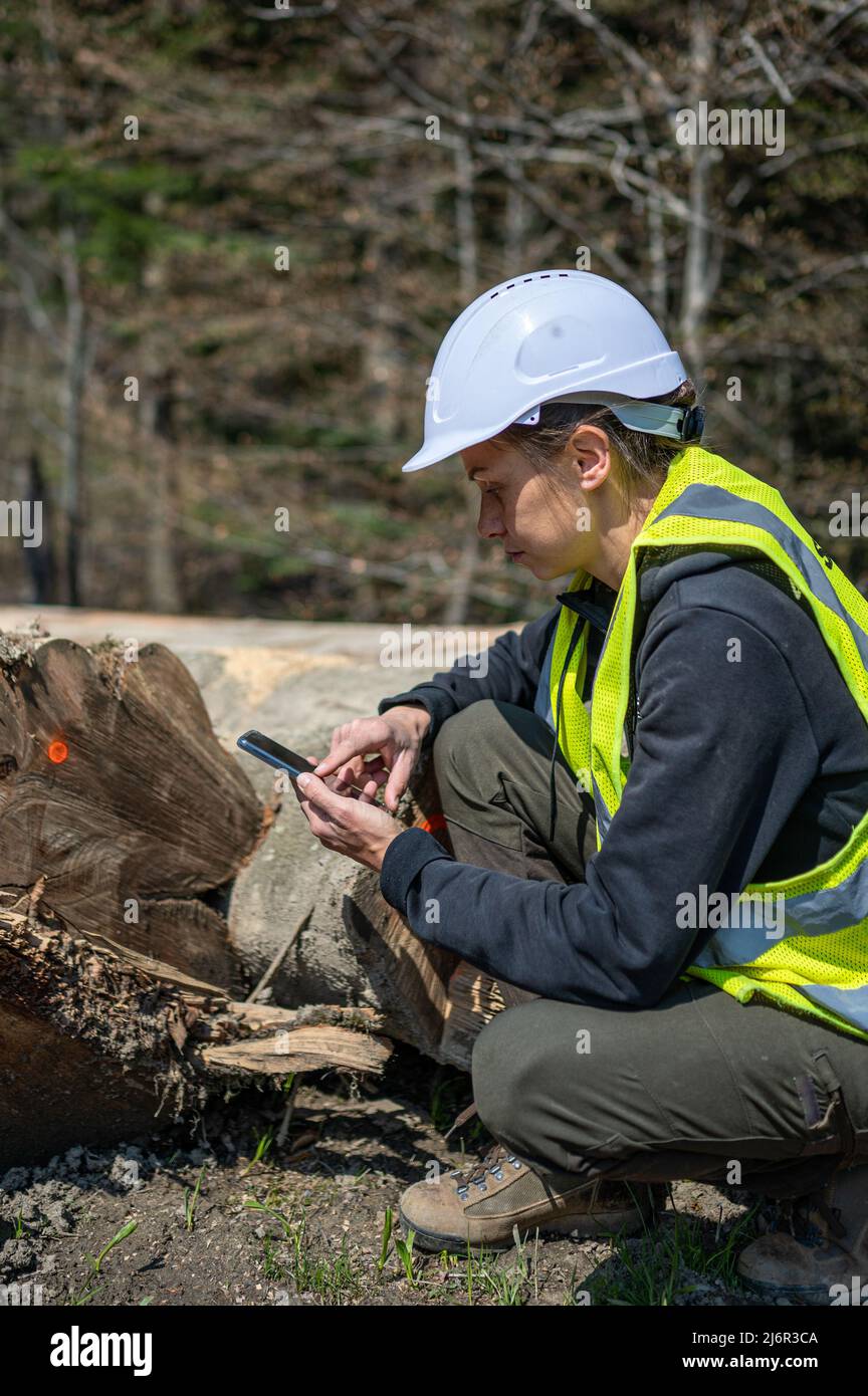 Pretty woman working as a forester Stock Photo - Alamy