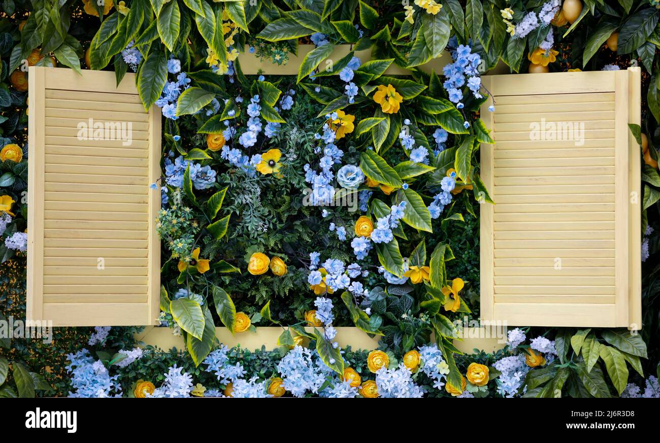 Green wall with window shutters, flowers and yellow lemons Stock Photo ...