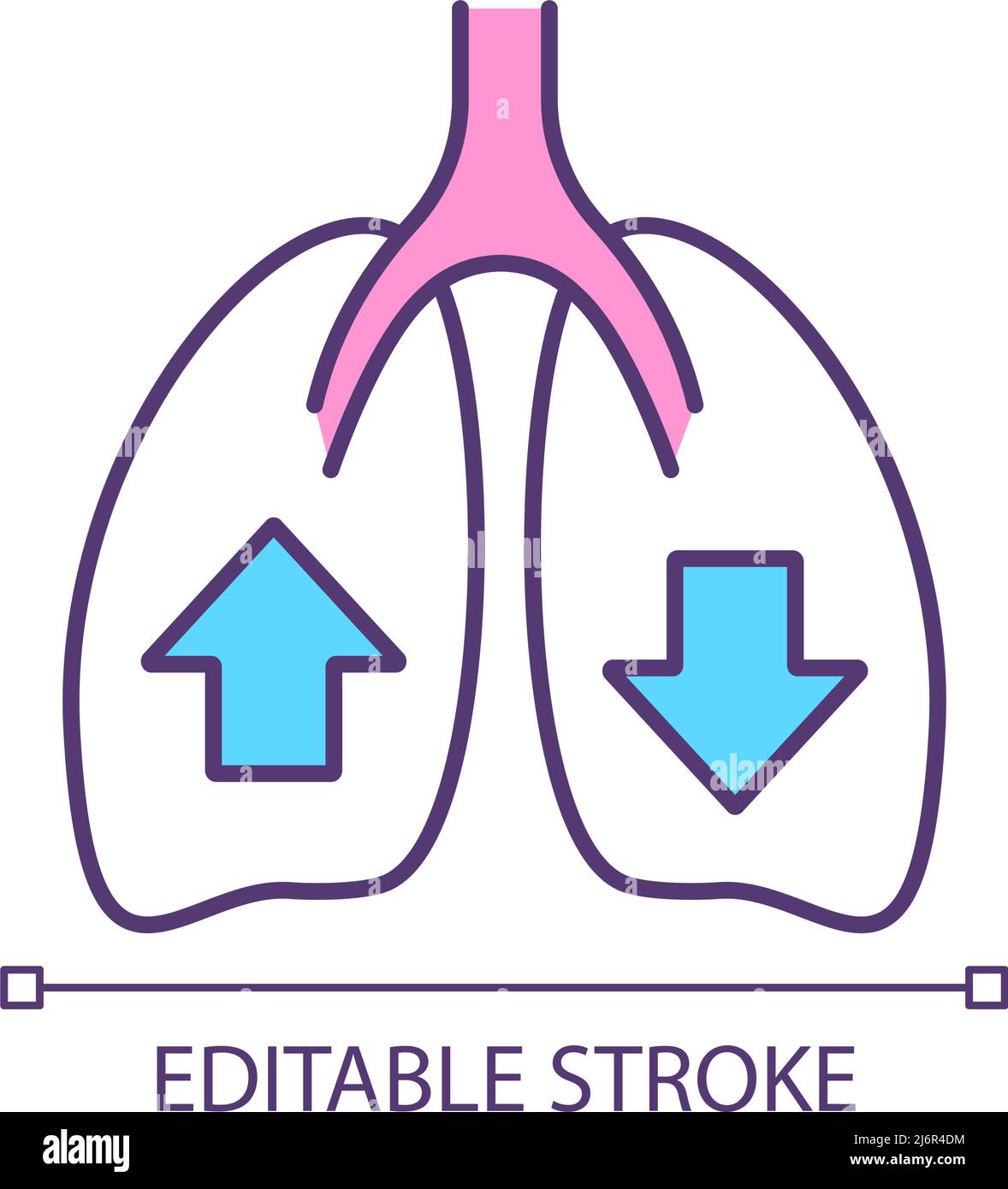 Respiratory system RGB color icon Stock Vector Image & Art - Alamy Respiratory system RGB color icon Stock Vector Image & Art - Alamy