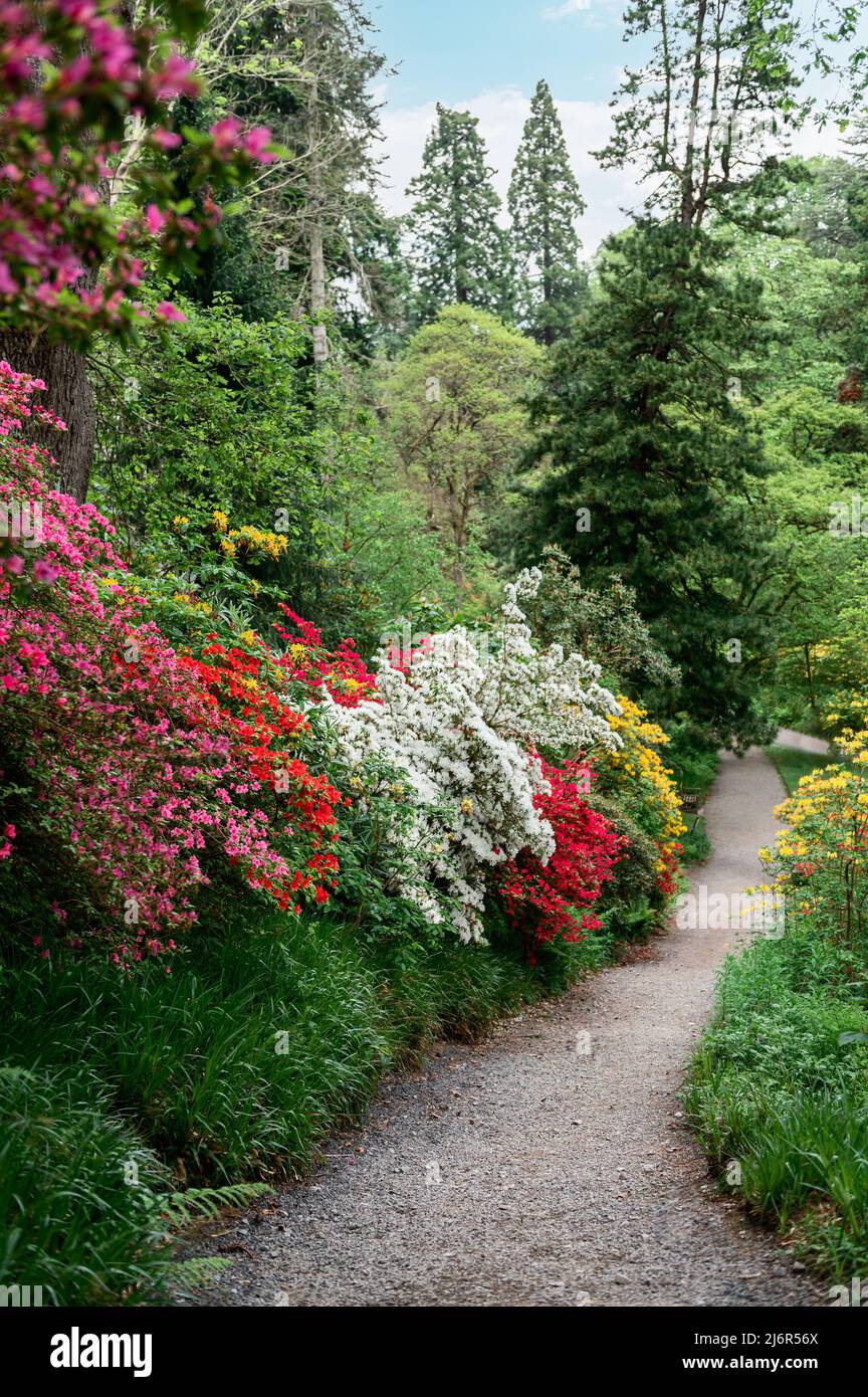 Beautiful Garden with blooming trees during spring time Stock Photo - Alamy