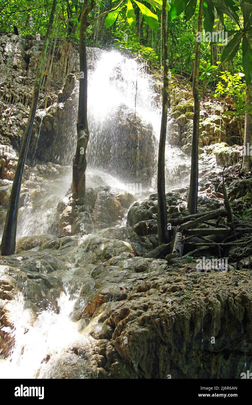 Beautiful hidden secluded waterfall cascade in tropical caribbean ...