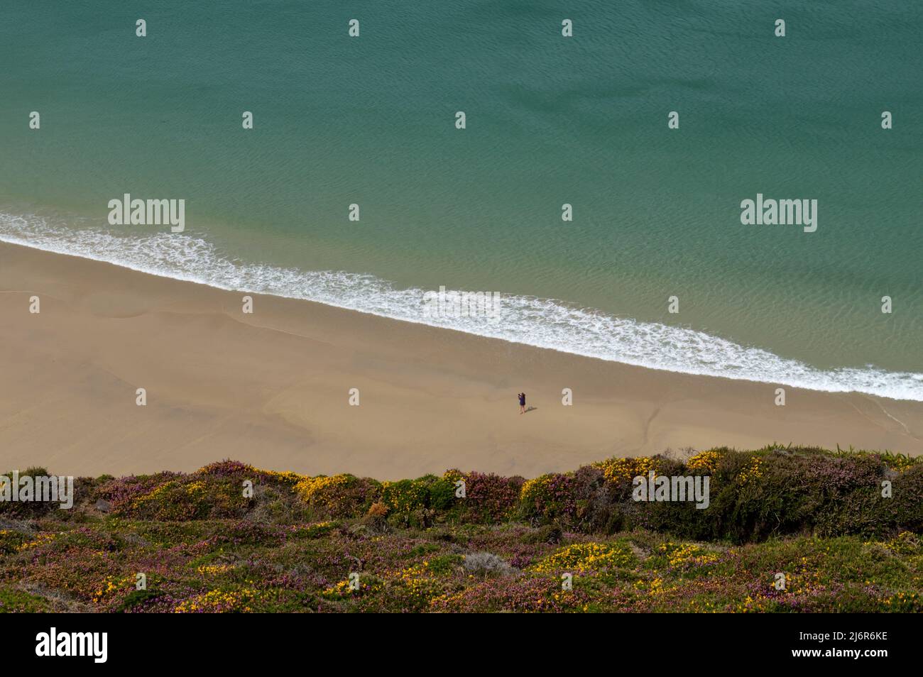 St. Agnes Bay, Cornwall - 2 July 202: Sandy beach with lone walkers and ...