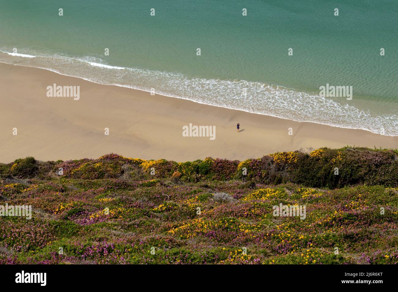 St. Agnes Bay, Cornwall - 2 July 202: Sandy beach with lone walkers and ...